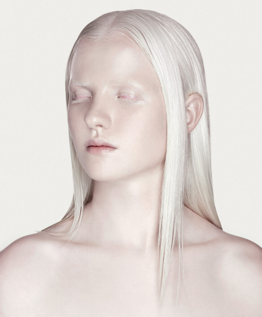 Solander Box - Michael Reid