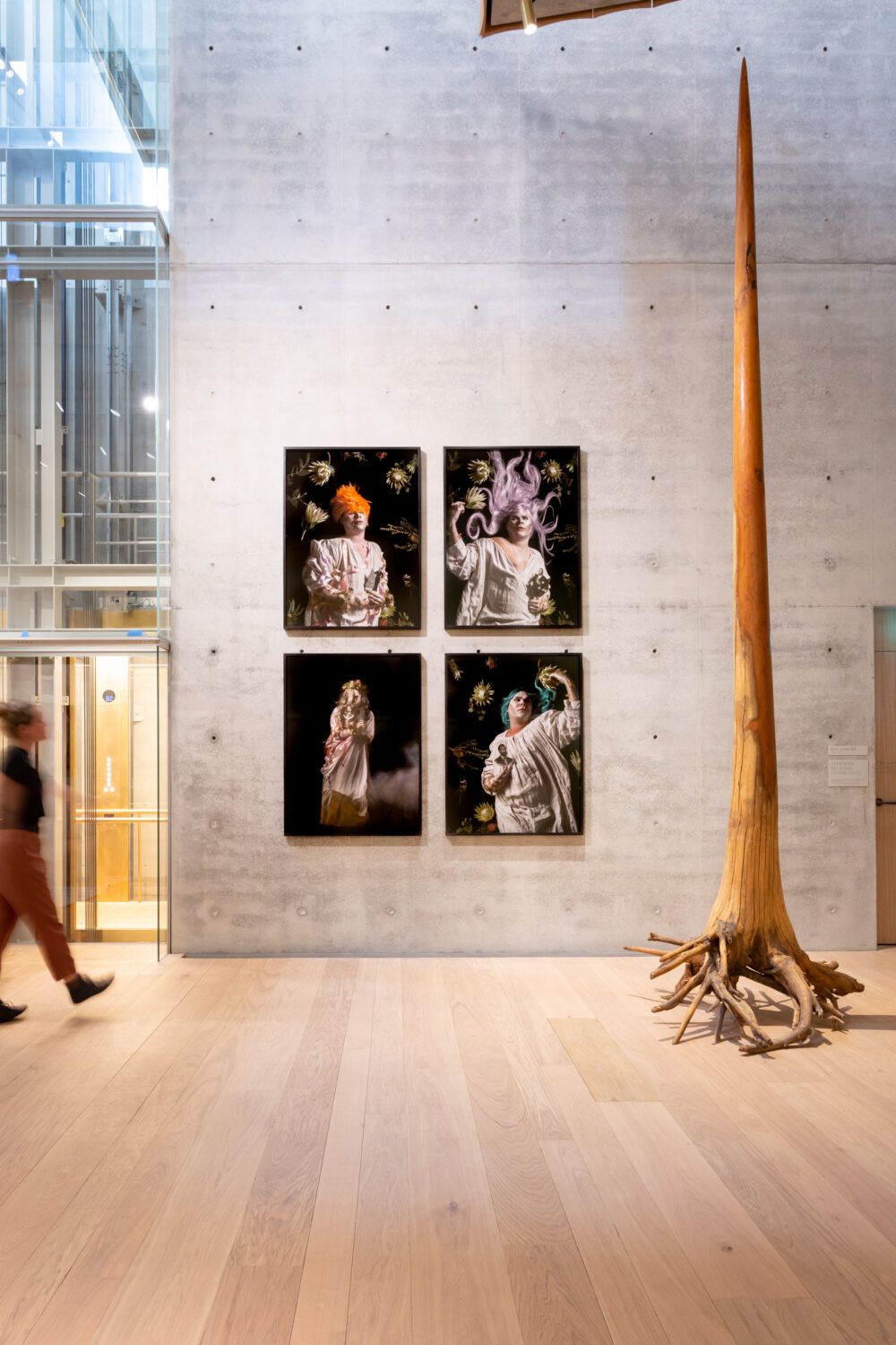 Enchantments - Letter to Ferdinand Von Mueller - Michael Reid