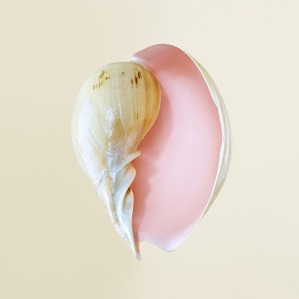 Melo Melo - Michael Reid