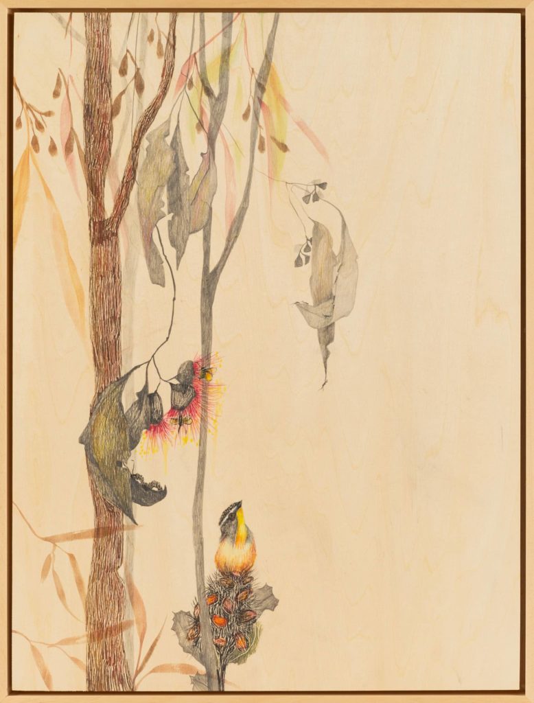 Oops Wrong Way - Michael Reid Murrurundi