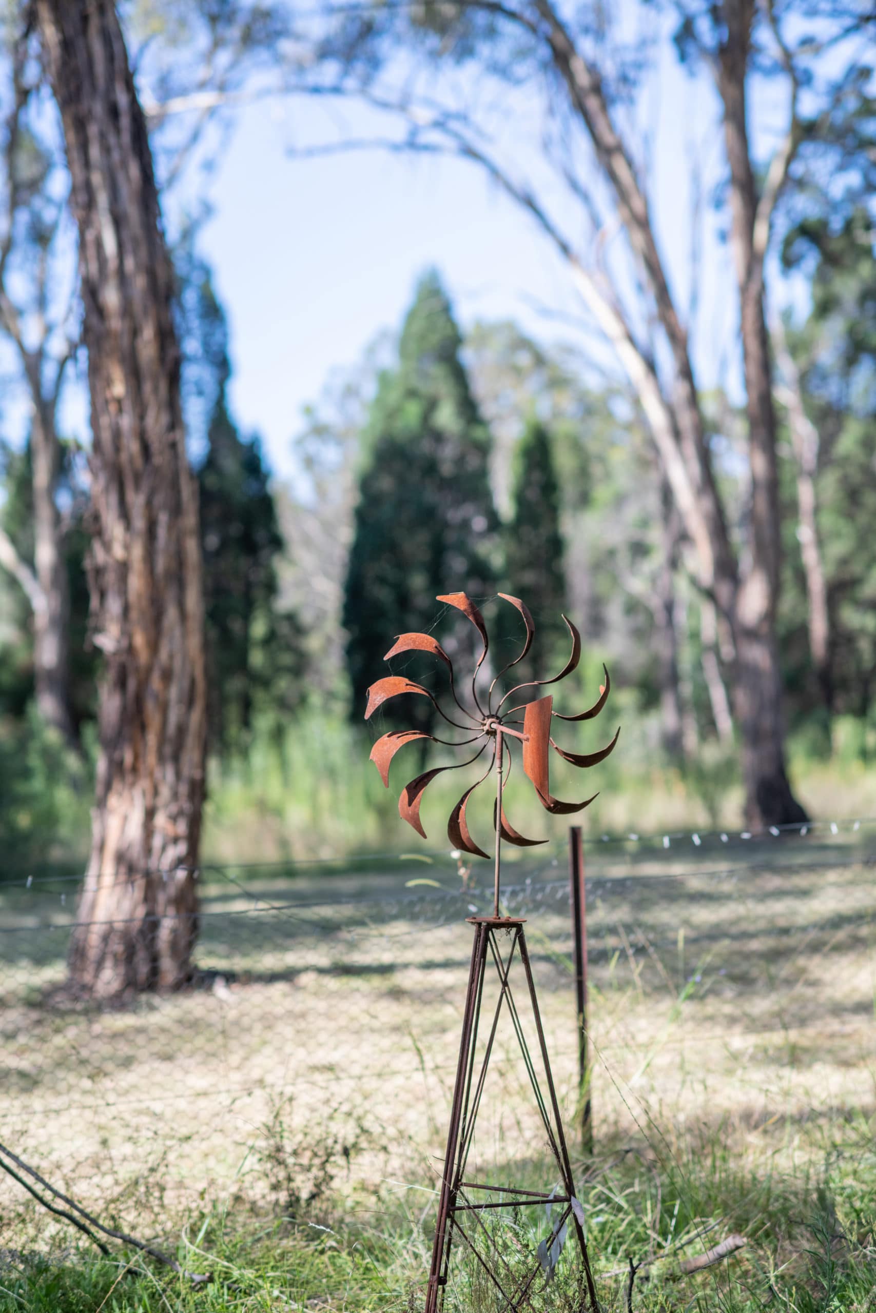 Denise Faulkner: Art of the Garden - Michael Reid Murrurundi