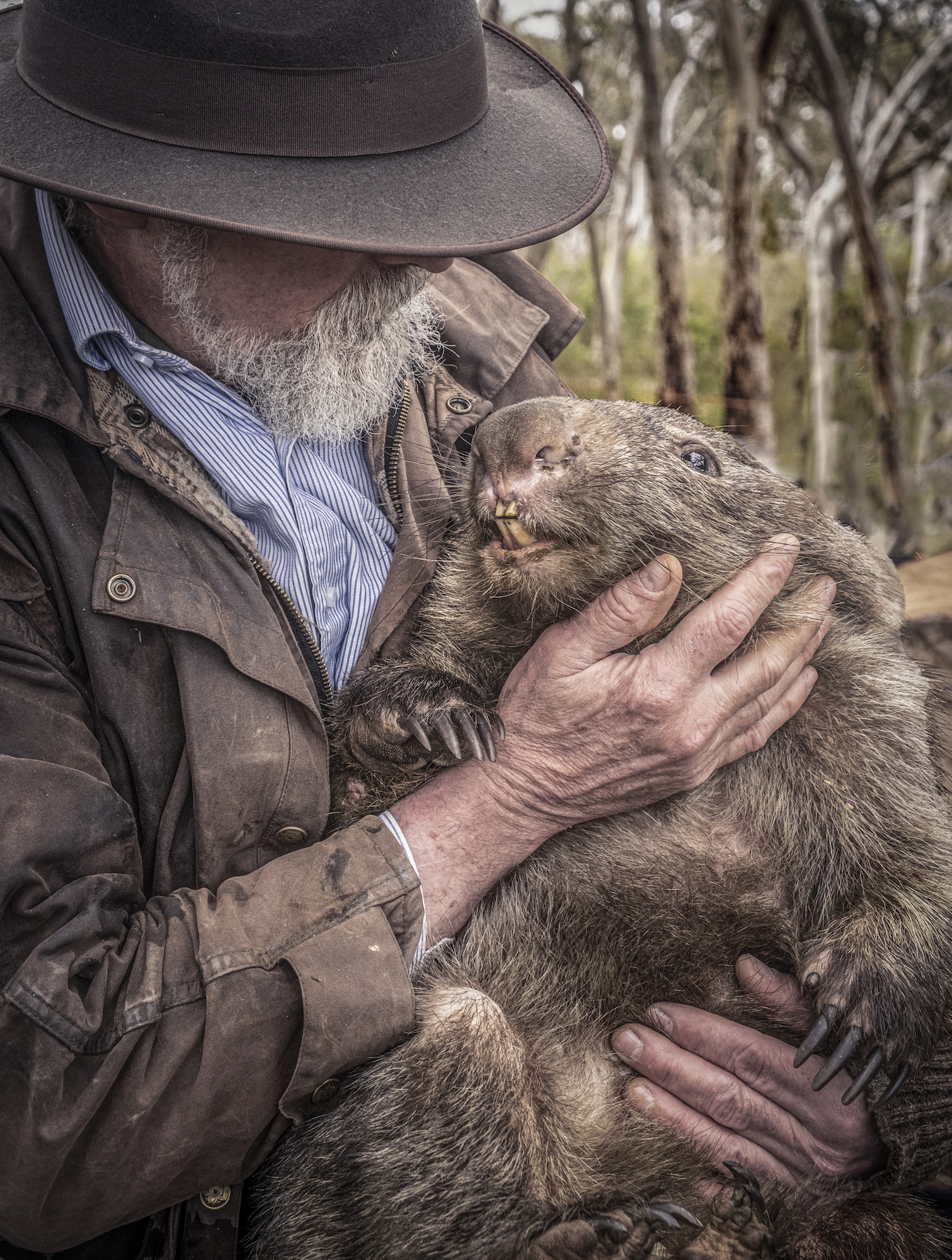 Wombat Man - Michael Reid Southern Highlands