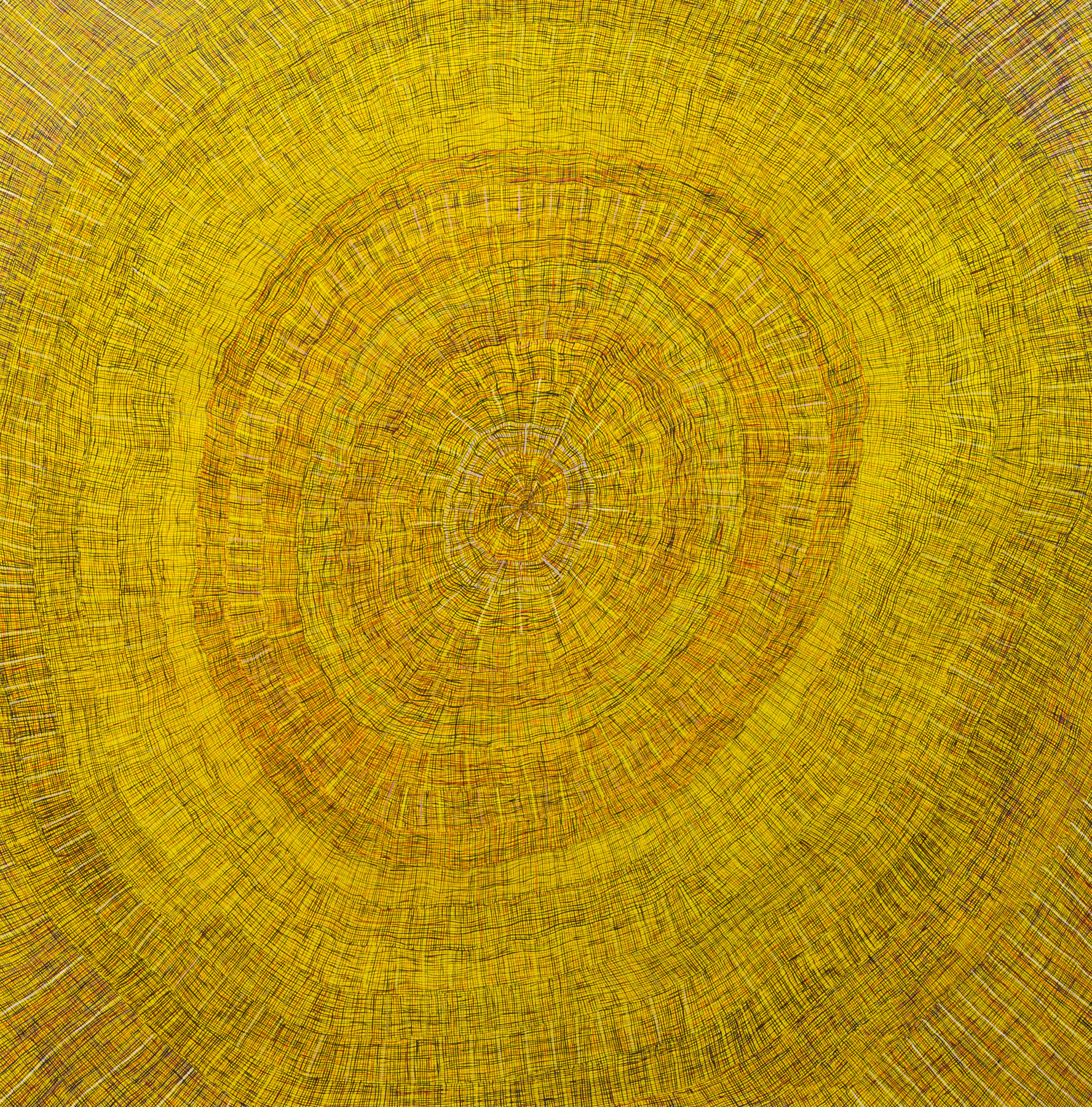 Deme Nagyi Napa - Michael Reid