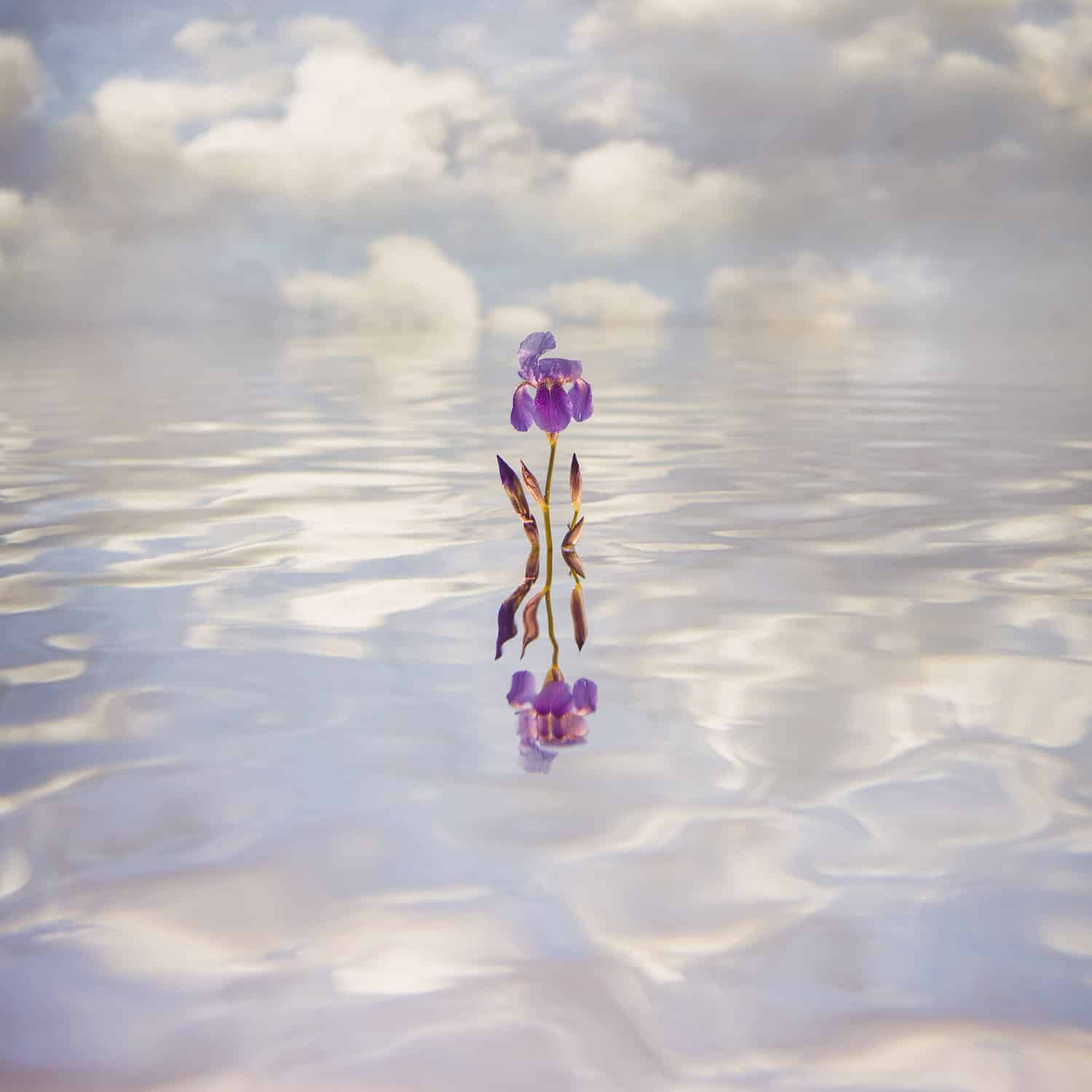 Head above water - Michael Reid Head above water - Michael Reid