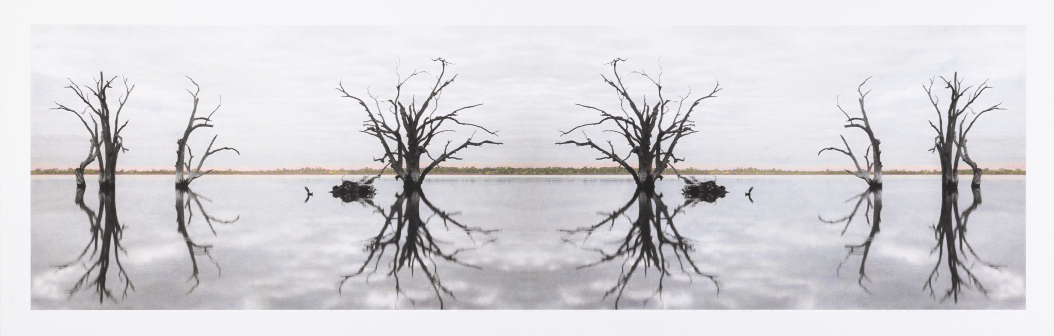 PHOTOGRAPHY: REAL AND IMAGINED | NGV, MELBOURNE - Michael Reid