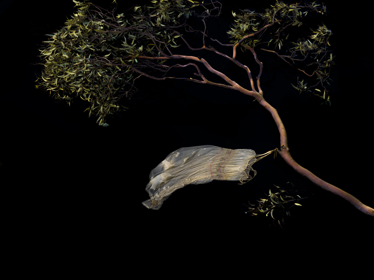 Wandering Mind Michael Reid