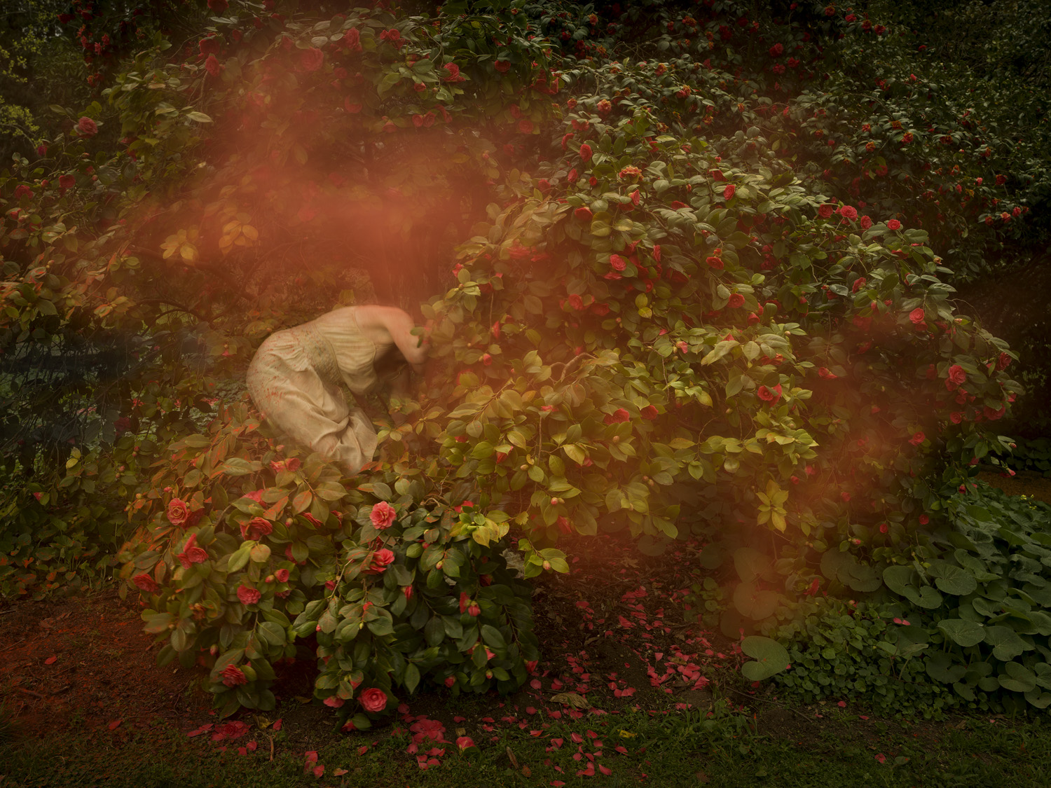 Losing myself - Michael Reid