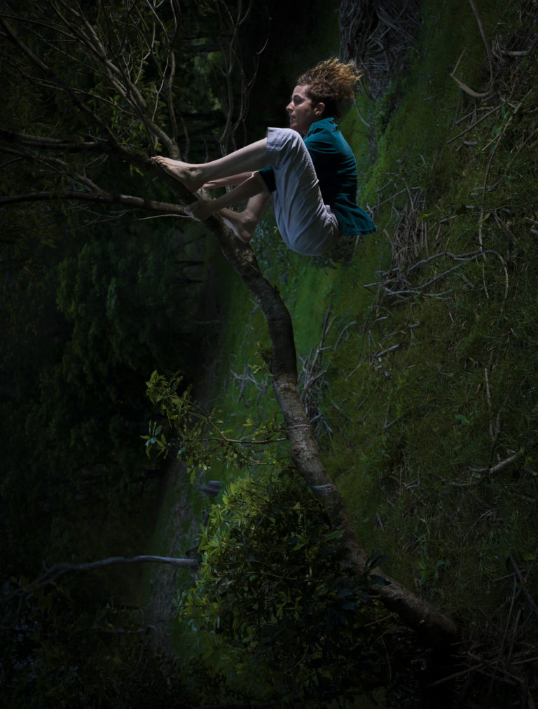 Discombobulation - Michael Reid