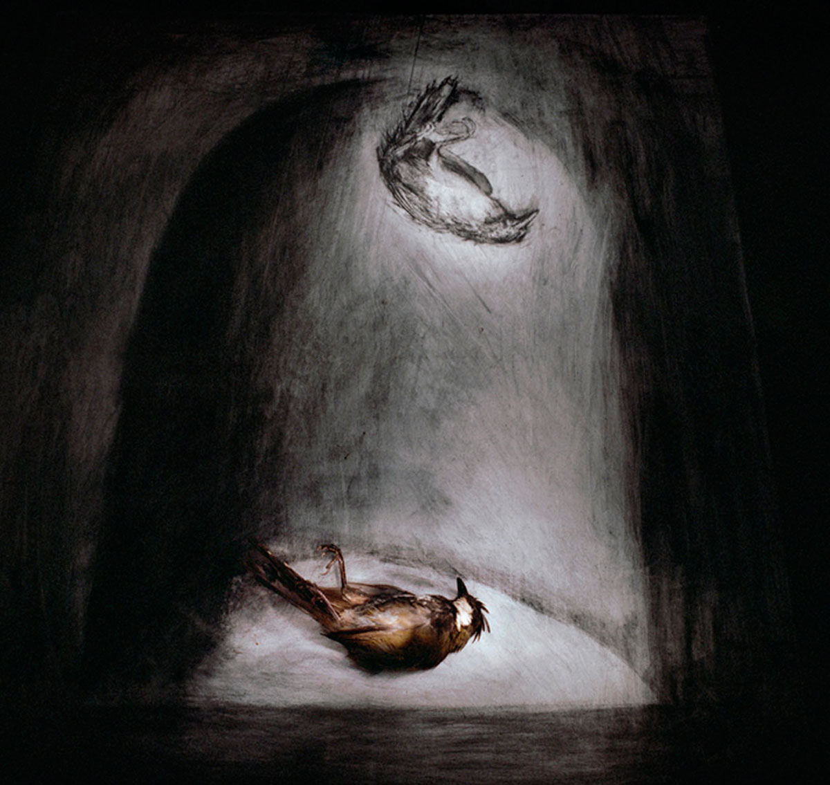 Fallen Bird - Michael Reid