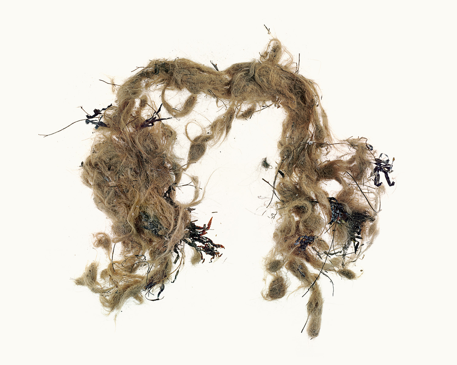 Seaweed Hair - Michael Reid