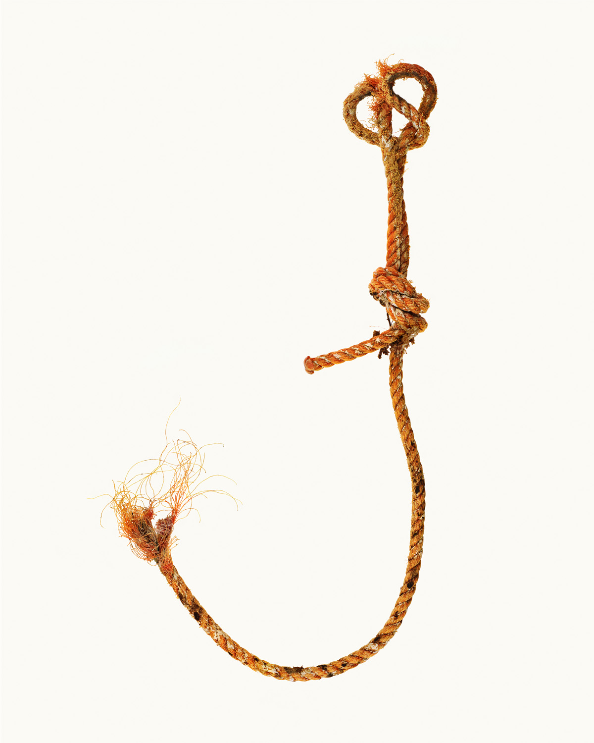 Rope Hook - Michael Reid