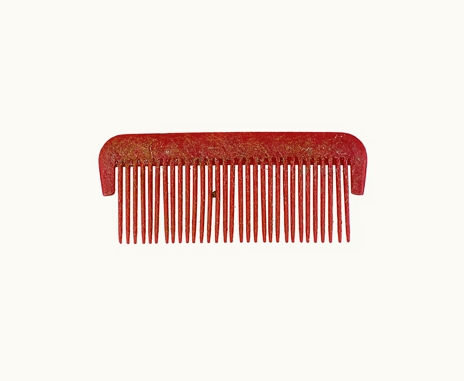 Red Comb - Michael Reid