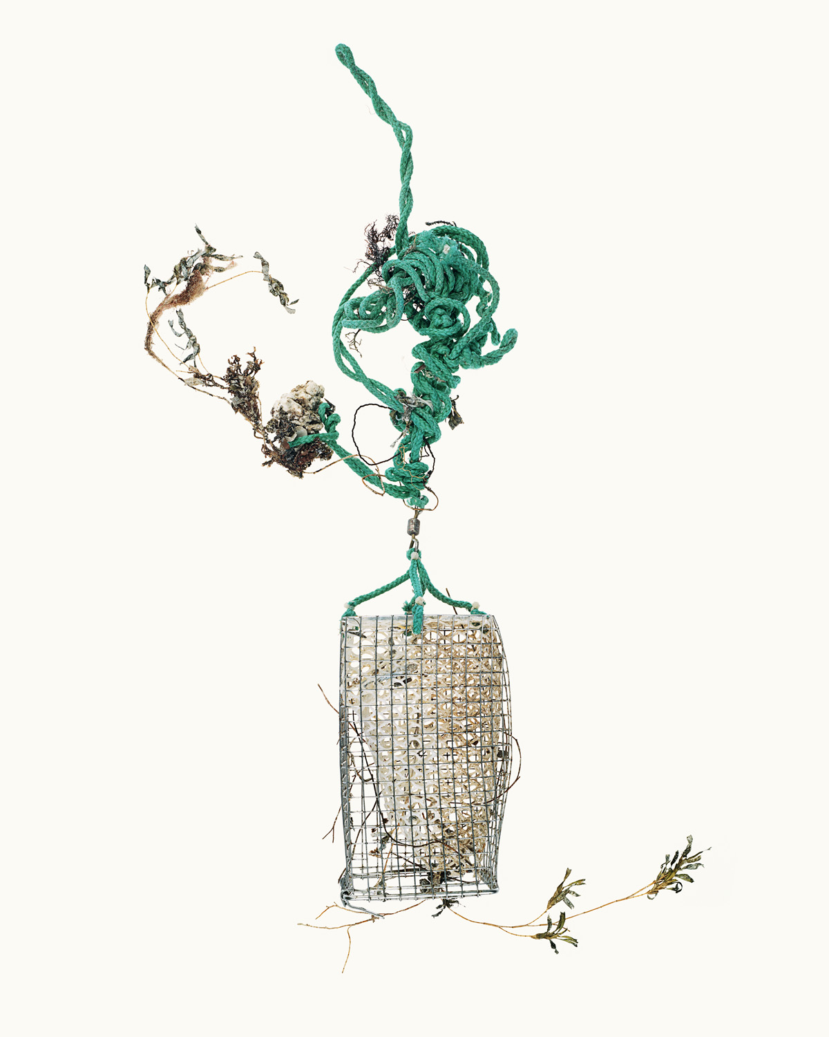 Burley Bucket - Michael Reid