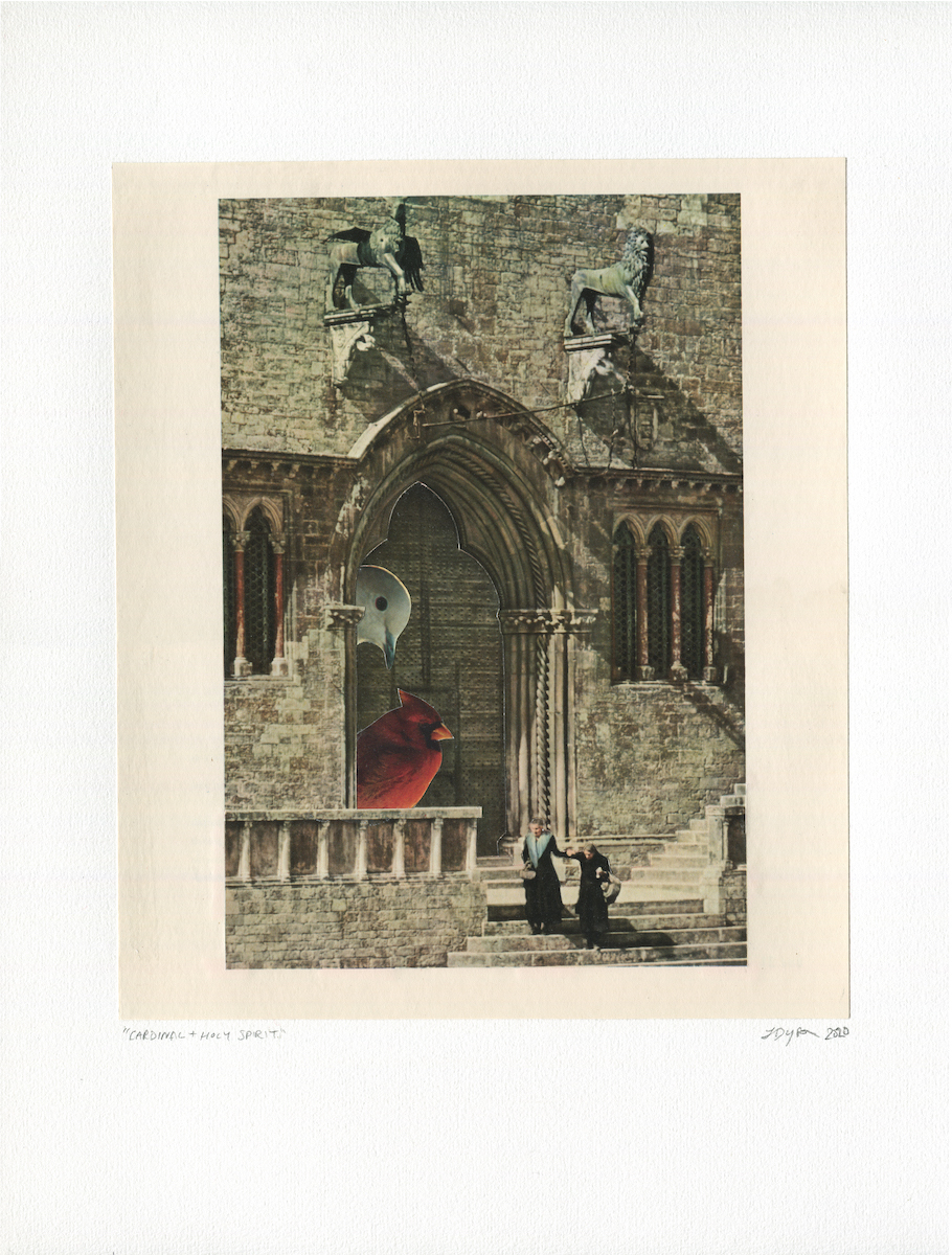 Cardinal and Holy Spirit - Michael Reid