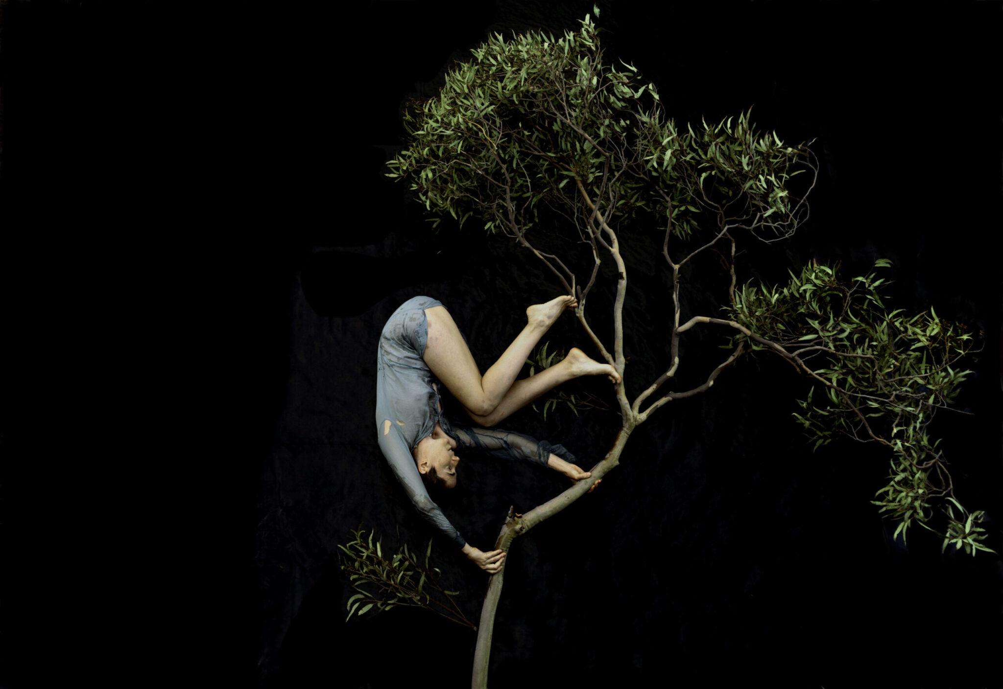 Equilibrium - Michael Reid