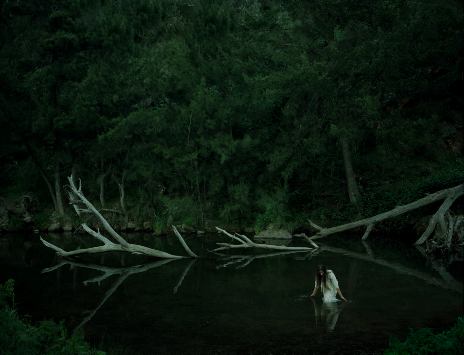 The River - Michael Reid