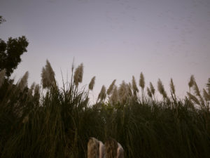 Equilibrium - Michael Reid