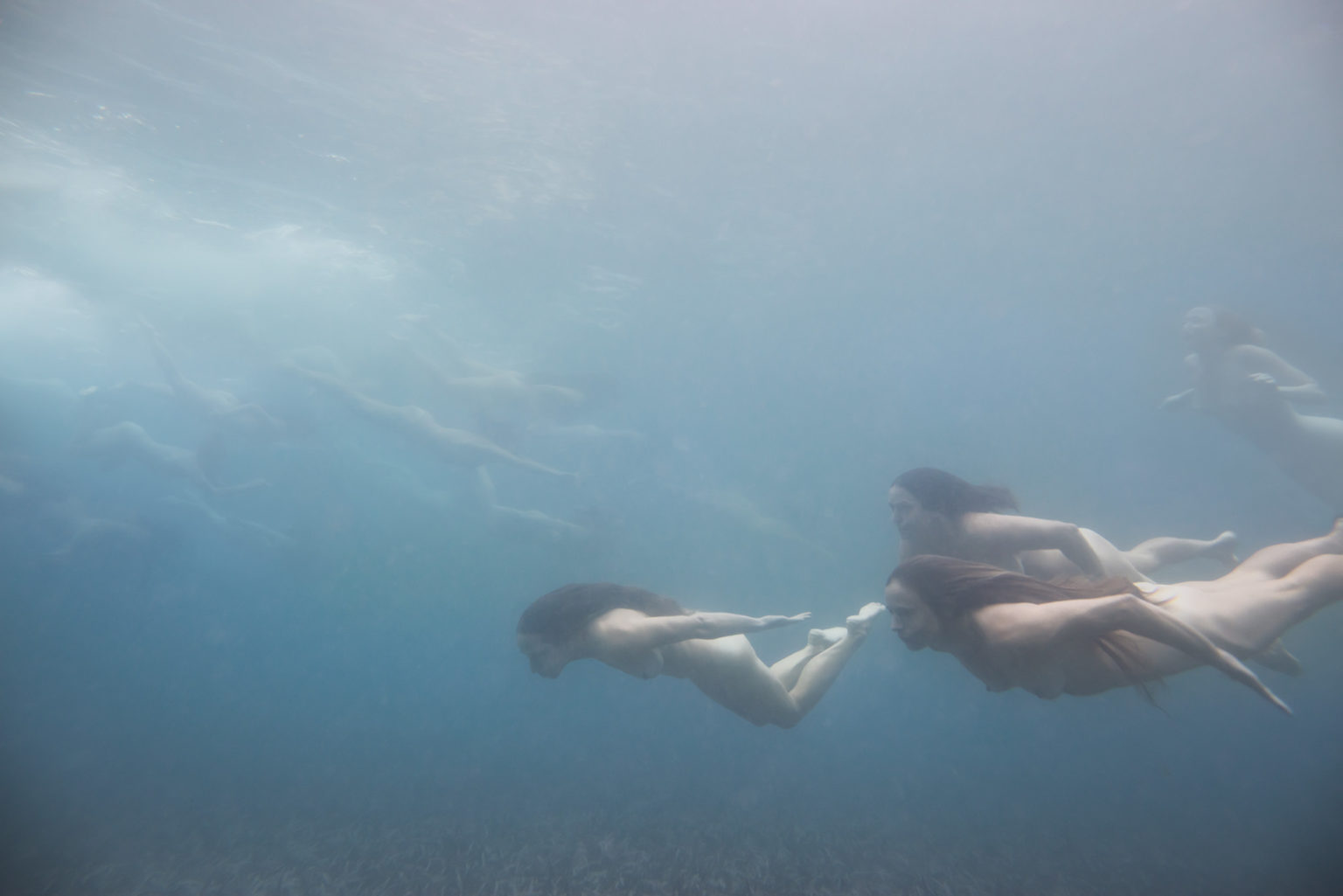 Equilibrium - Michael Reid