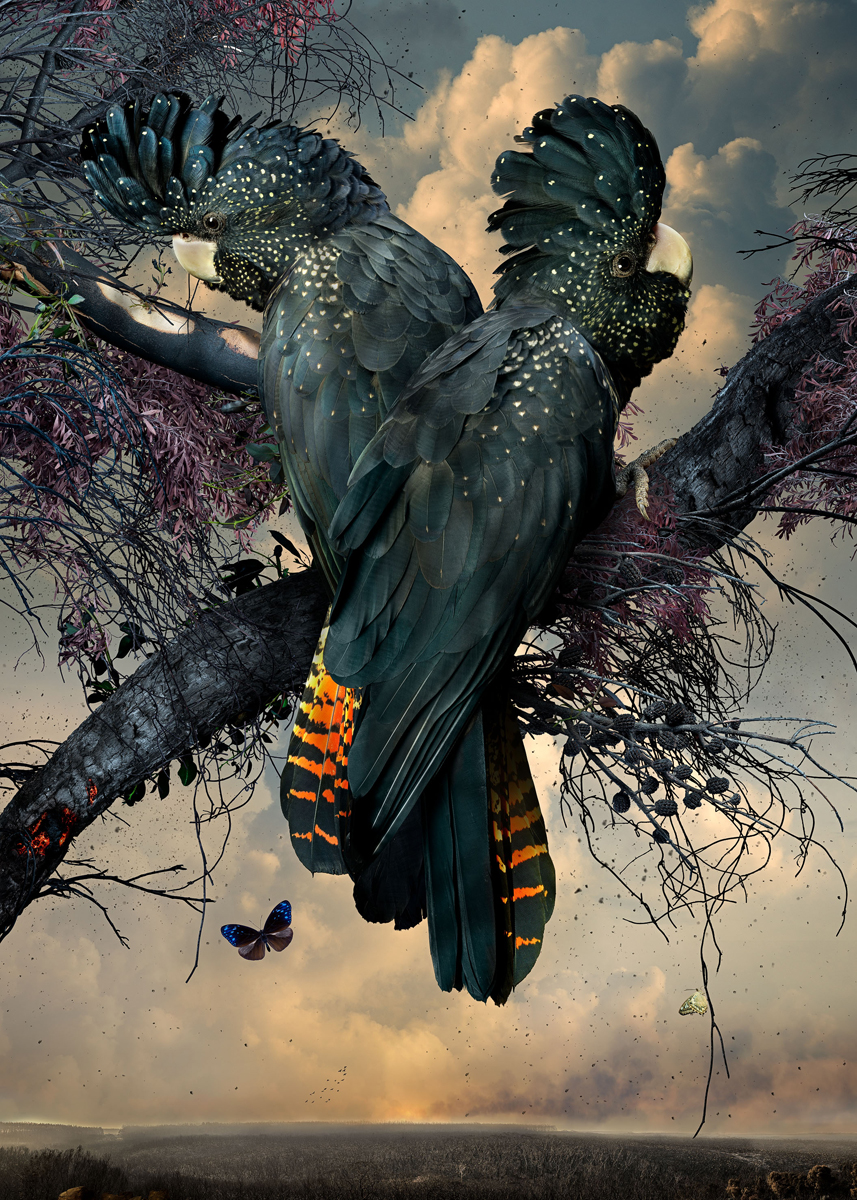 Awakening #1 - Embers One - Michael Reid