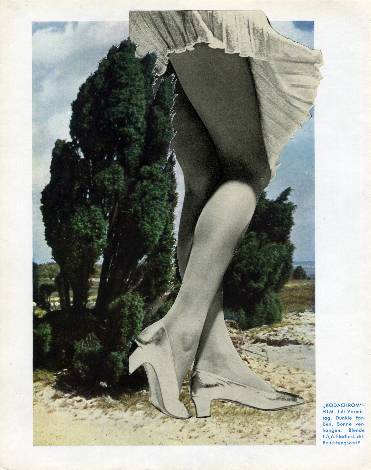 Forenoon - Michael Reid