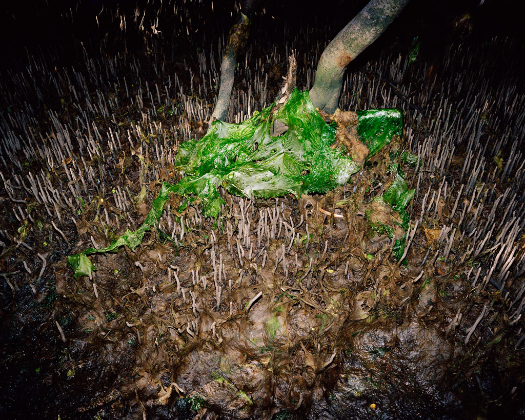 Slime - Michael Reid