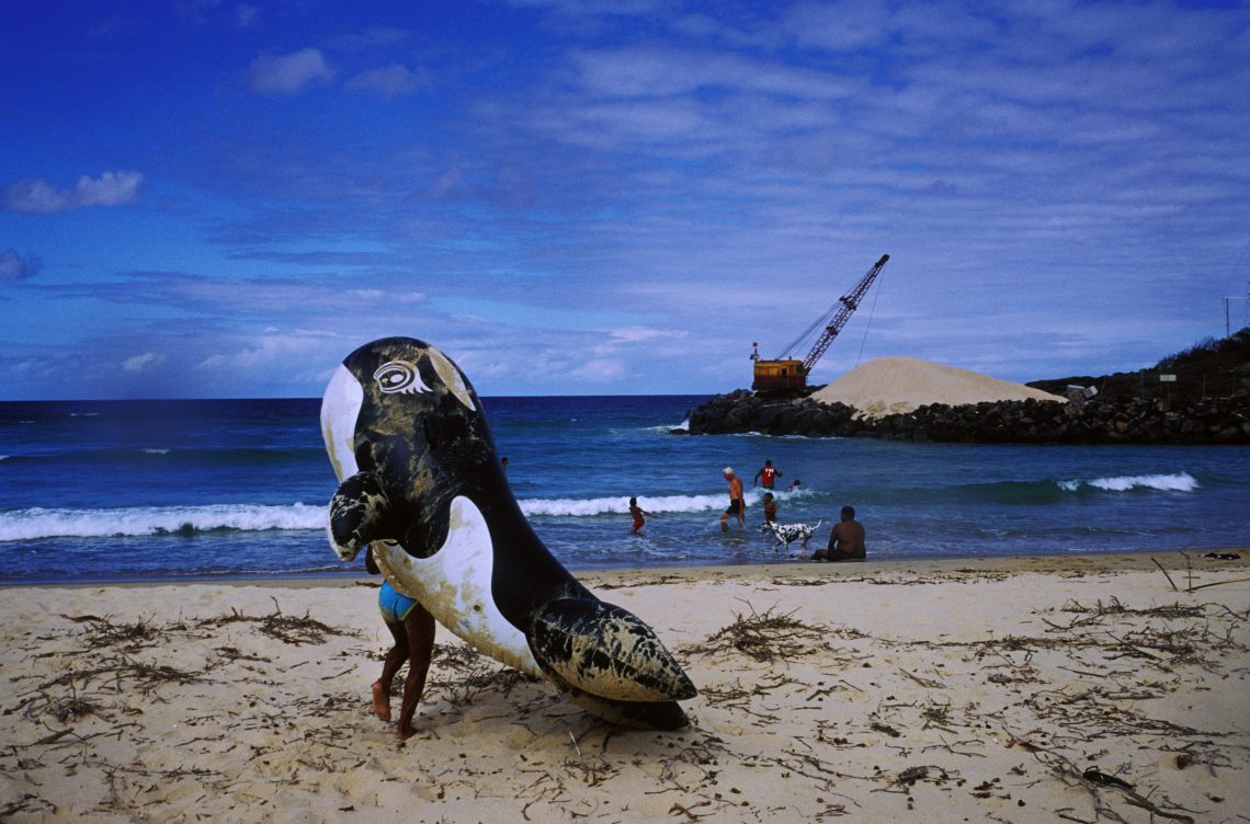 Beached Whale - Michael Reid