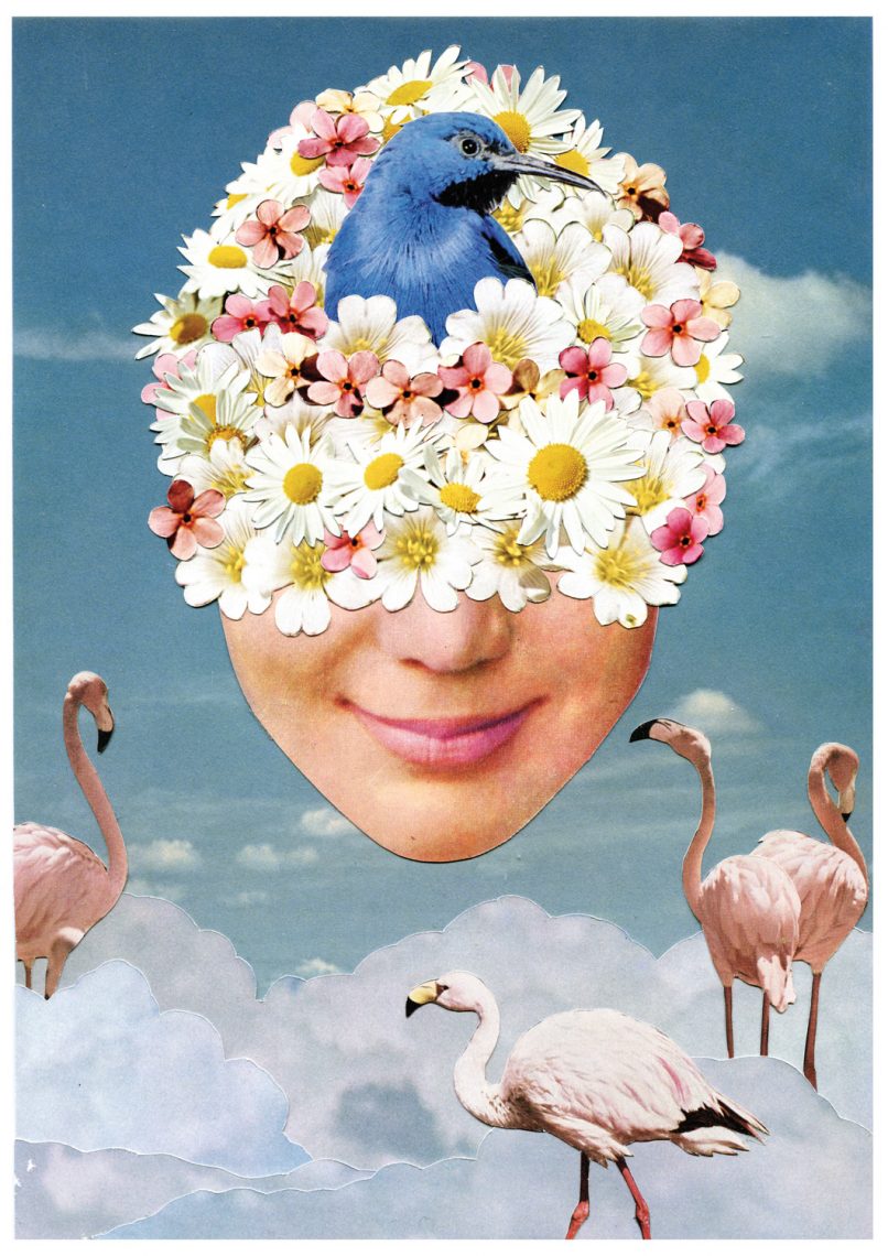 Untitled (Flower Nest) - Michael Reid