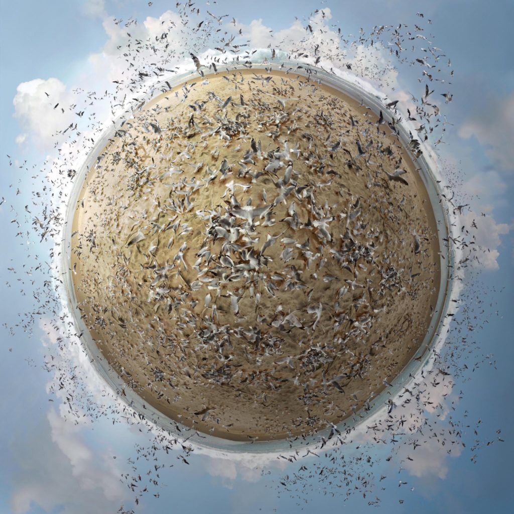 Coast - Michael Reid