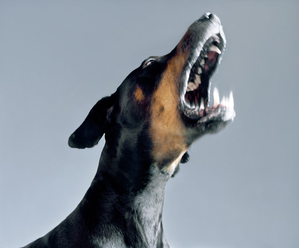 Excalibur - Michael Reid