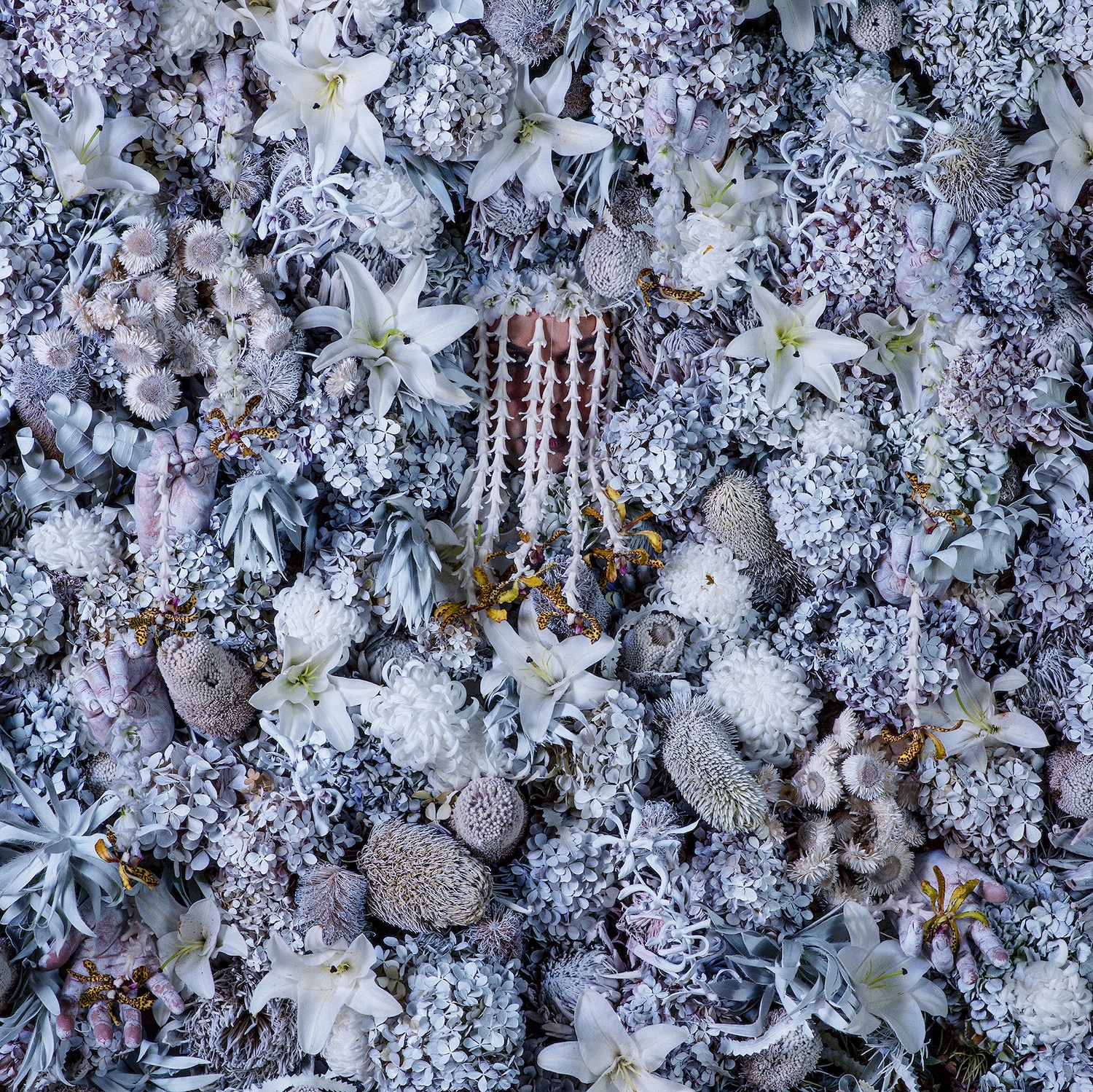 New Flower Walls - Michael Reid