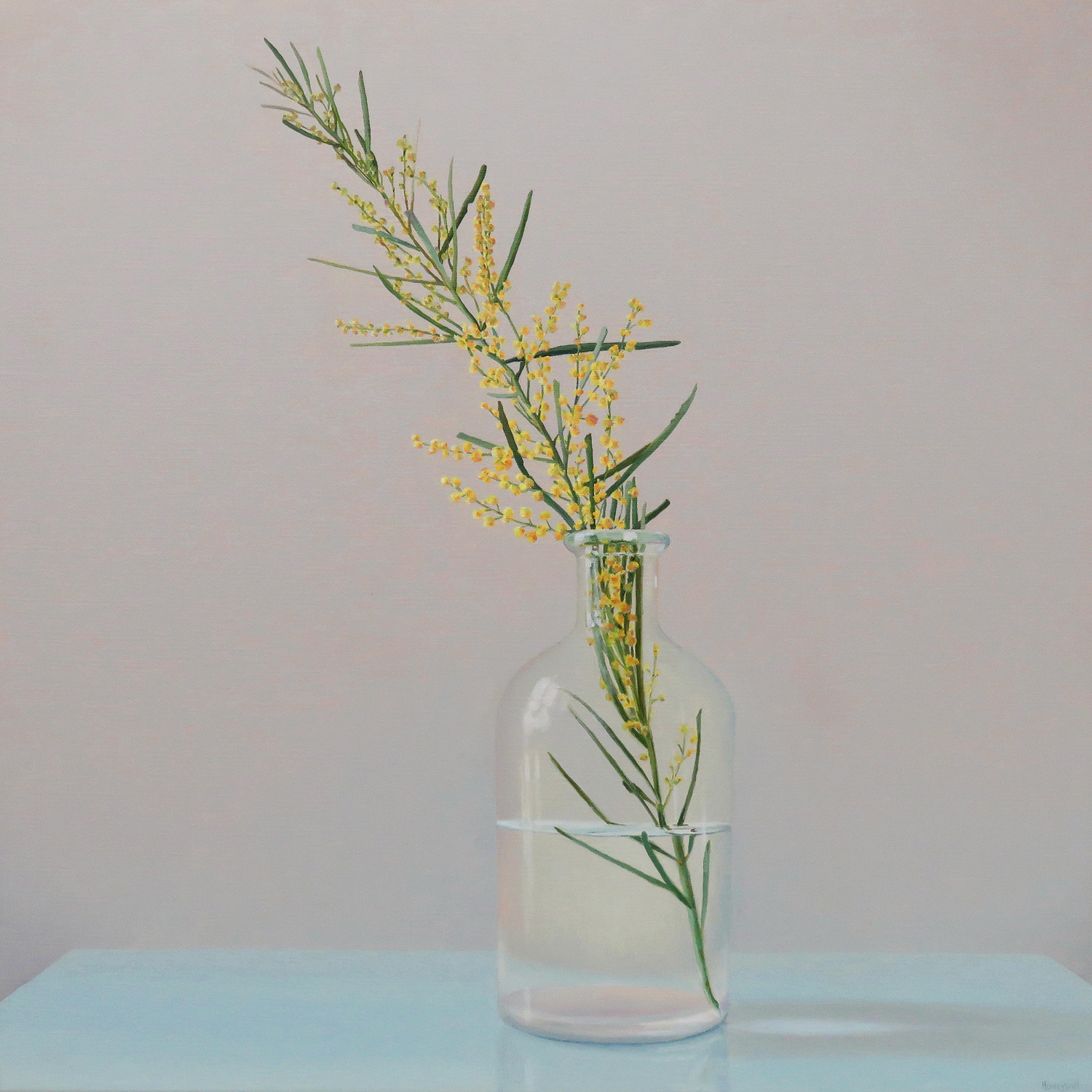 Wattle Still Life - Michael Reid