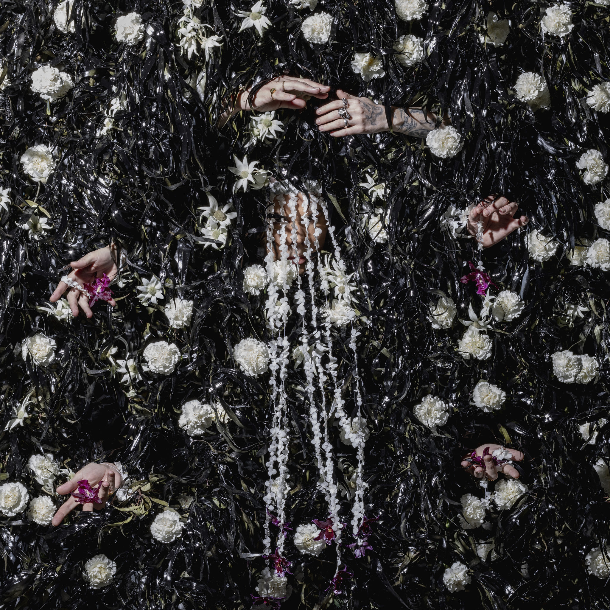 Michael Reid Galleries: Contemporary Australian Art in Sydney and Berlin