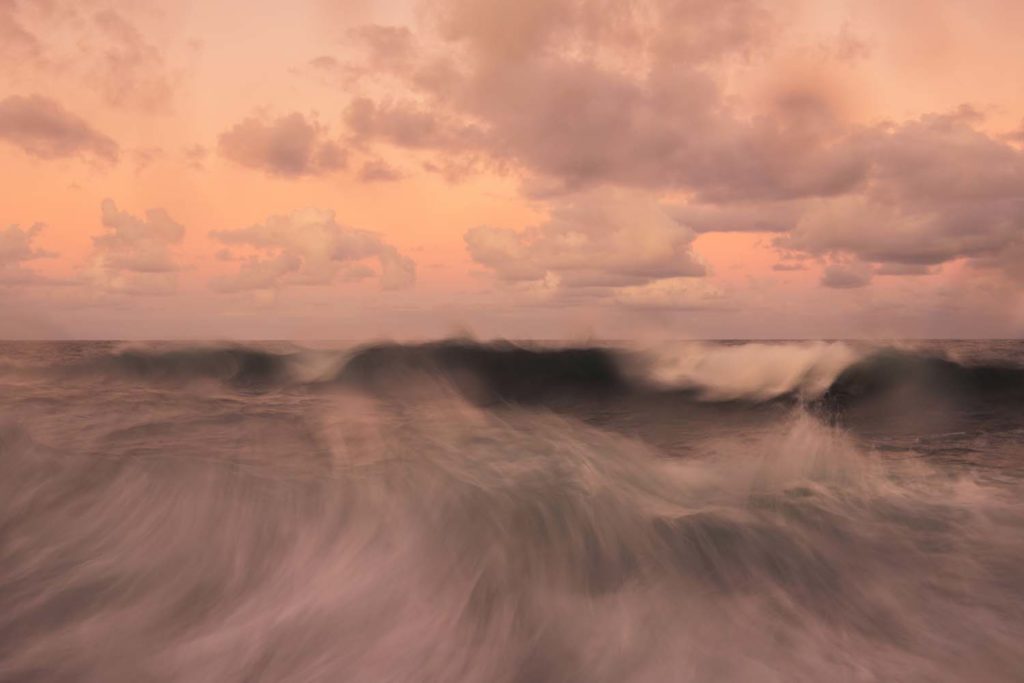 The Terminator Line - Michael Reid