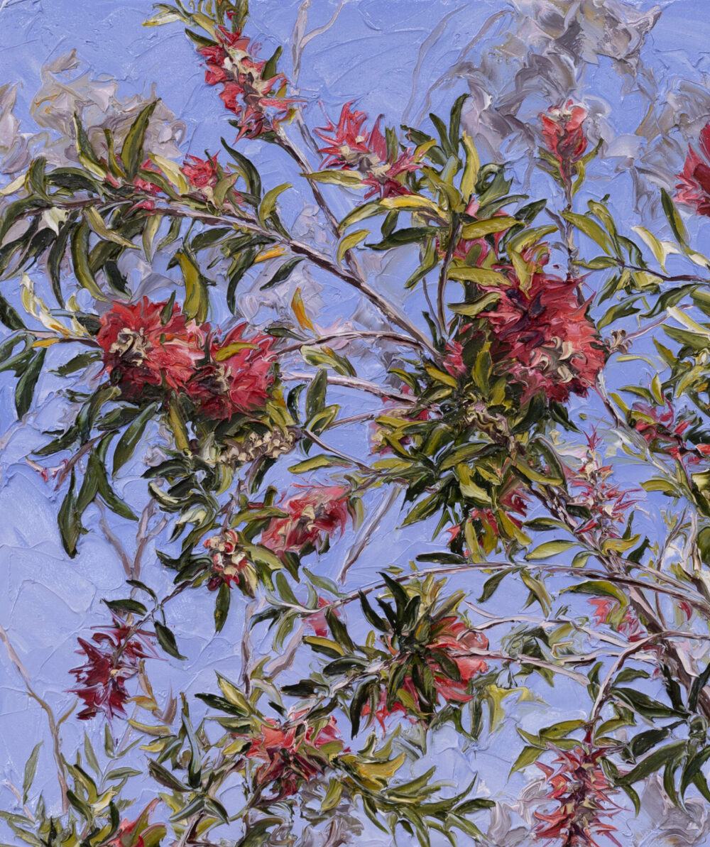 Stockroom by Artist - Michael Reid Southern Highlands