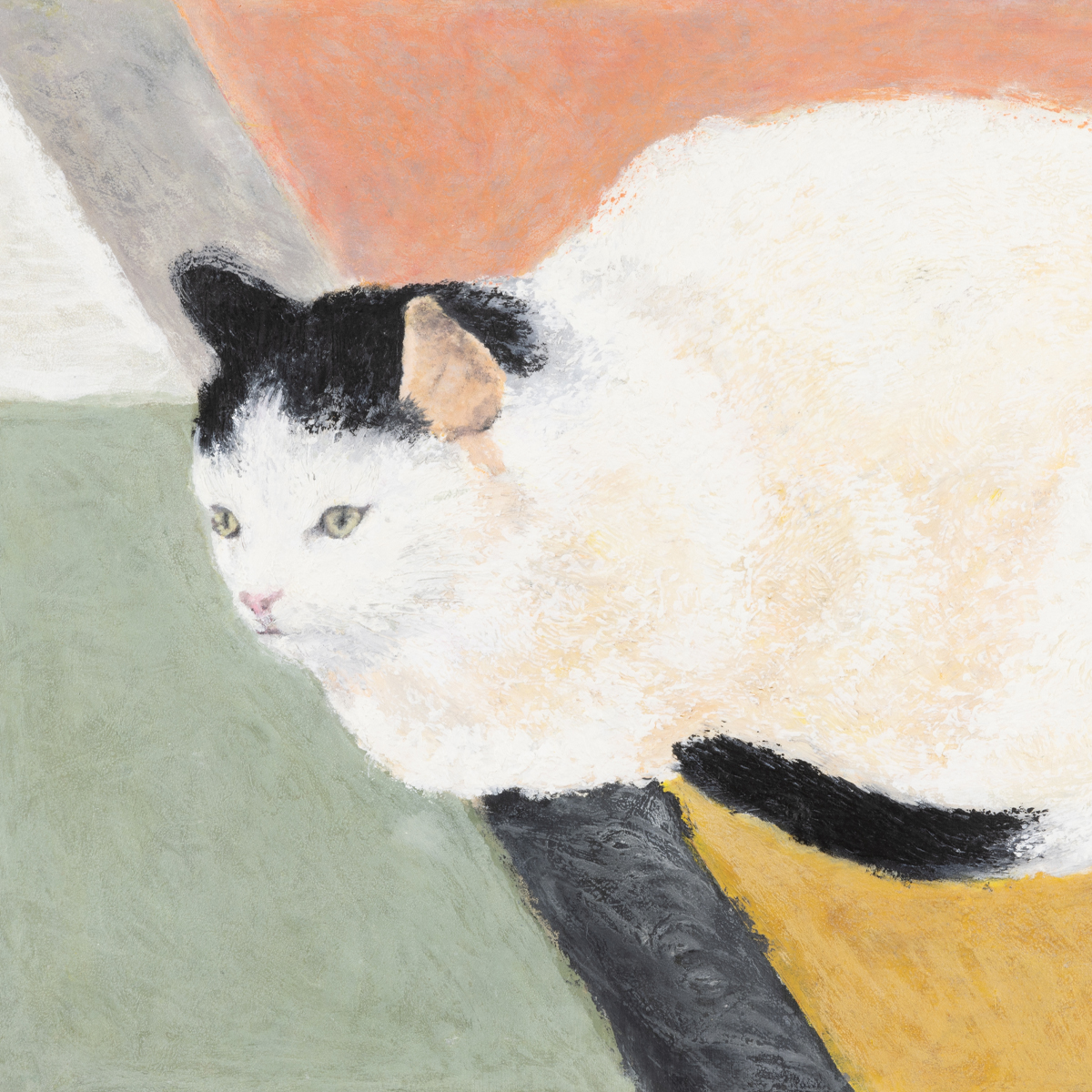 Resting Cat - Michael Reid