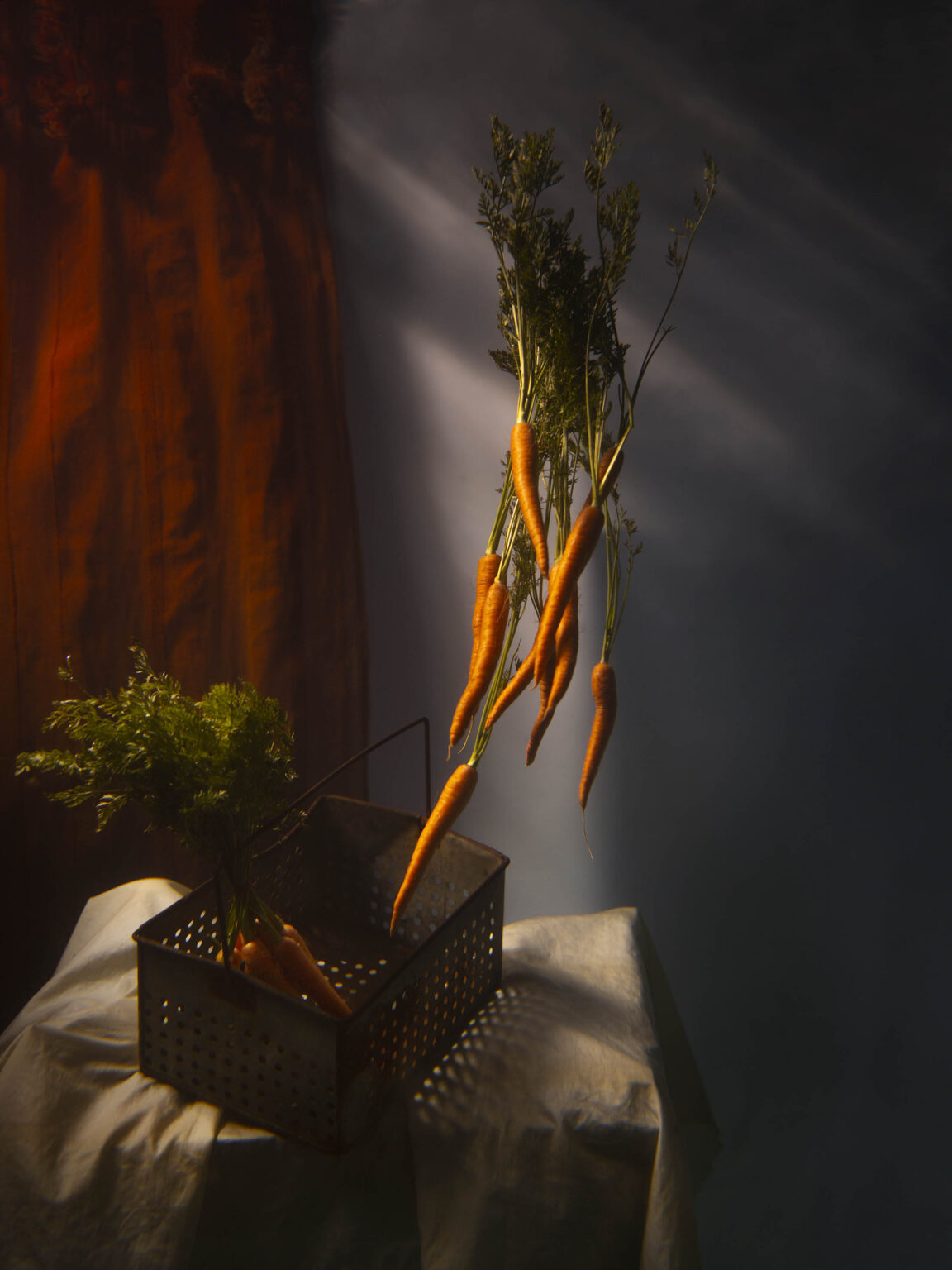 The Suspended Moment - Michael Reid