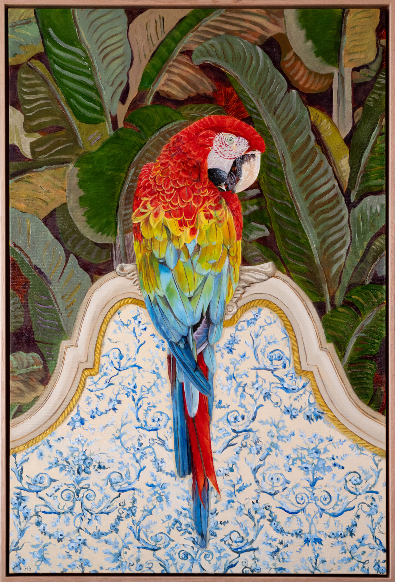 Pineapple suite Macaw - Michael Reid Murrurundi