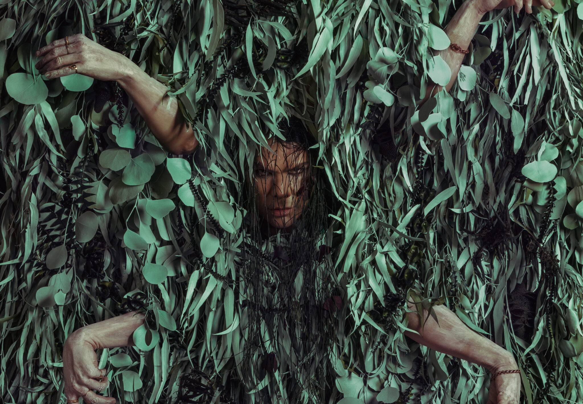 Michael Reid Galleries: Contemporary Australian Art in Sydney and Berlin