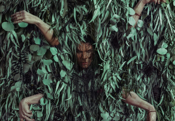 Michael Reid Galleries: Contemporary Australian Art in Sydney and Berlin
