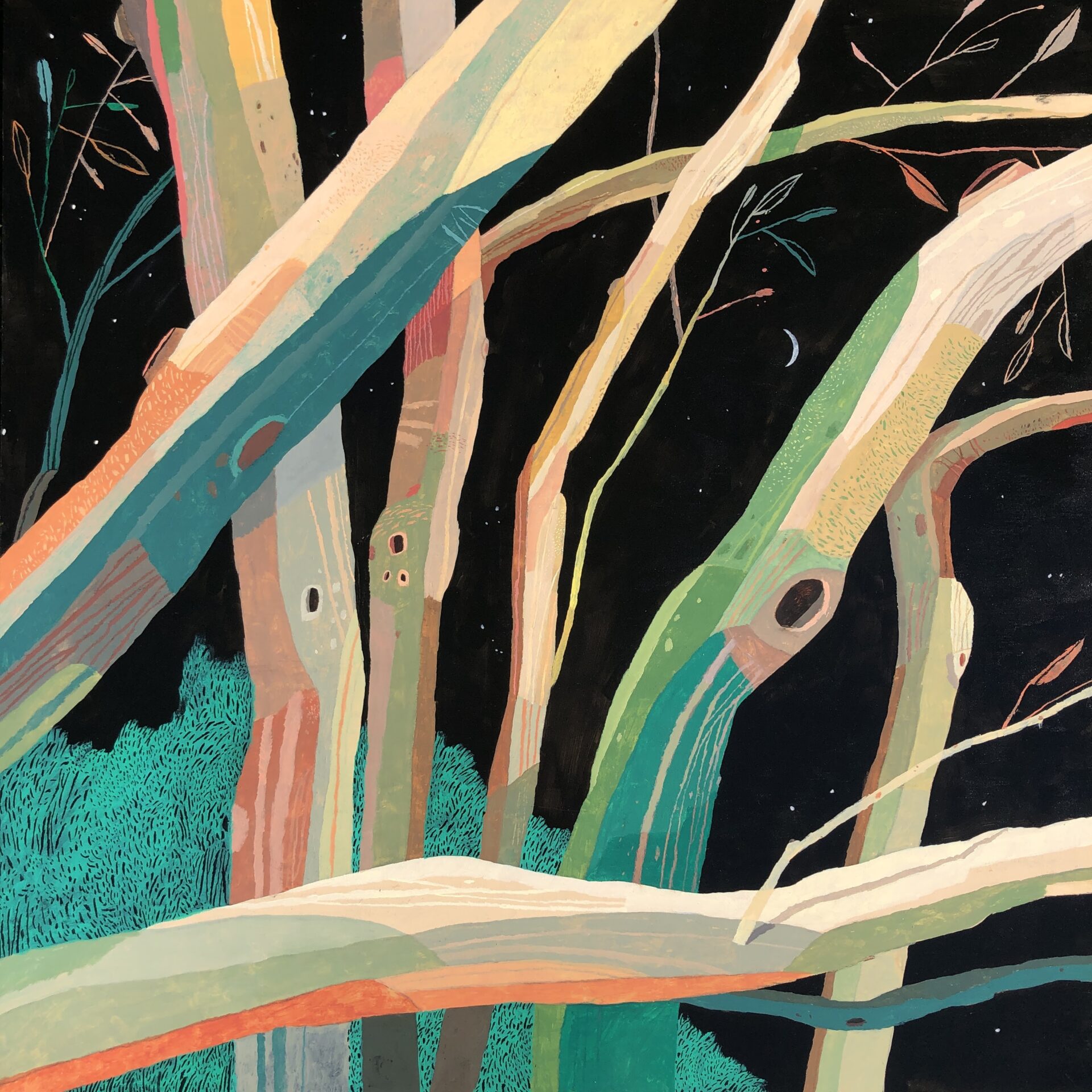 Home - Michael Reid Northern Beaches