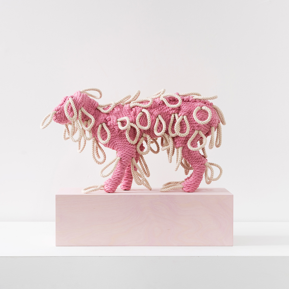 small looped companion - Michael Reid