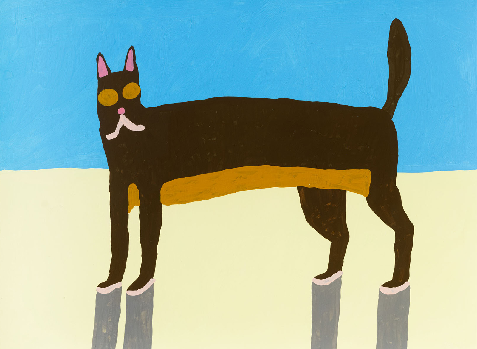 Brown cat - Michael Reid