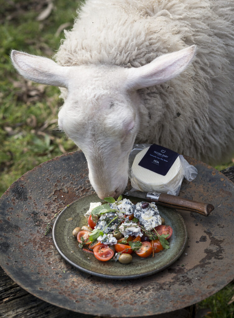 Pecora Dairy - Michael Reid Southern Highlands