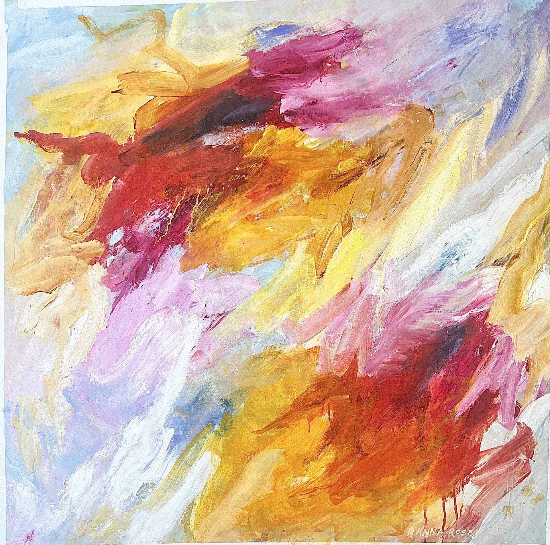 Hanna Rose - Michael Reid Northern Beaches