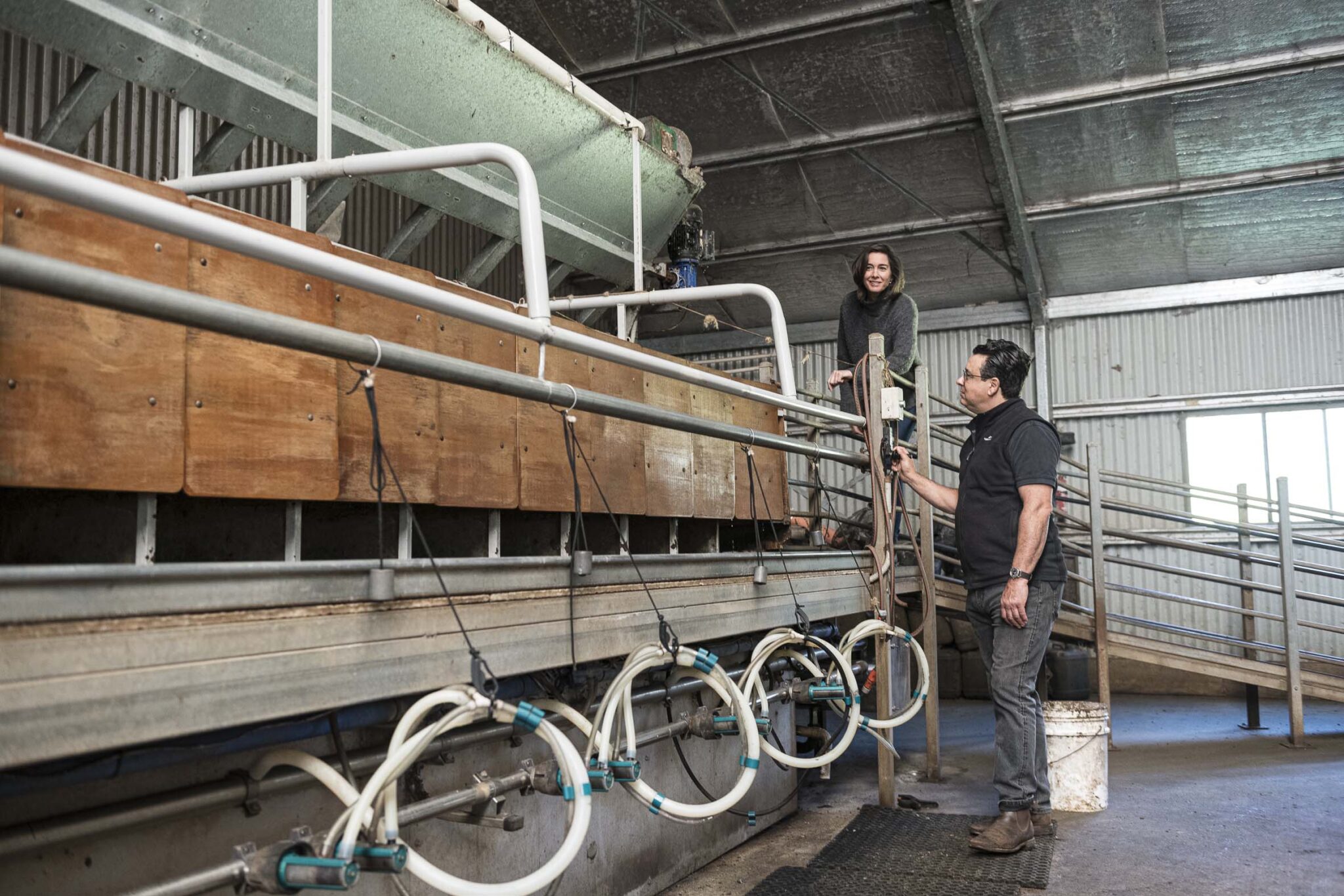 Pecora Dairy by Michael Sharp - Michael Reid Murrurundi