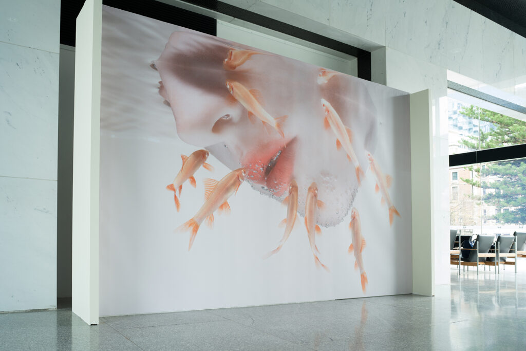 Mythologies - Michael Reid