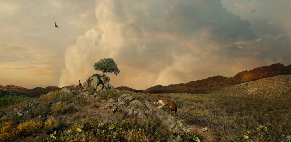 The Hunt - Michael Reid