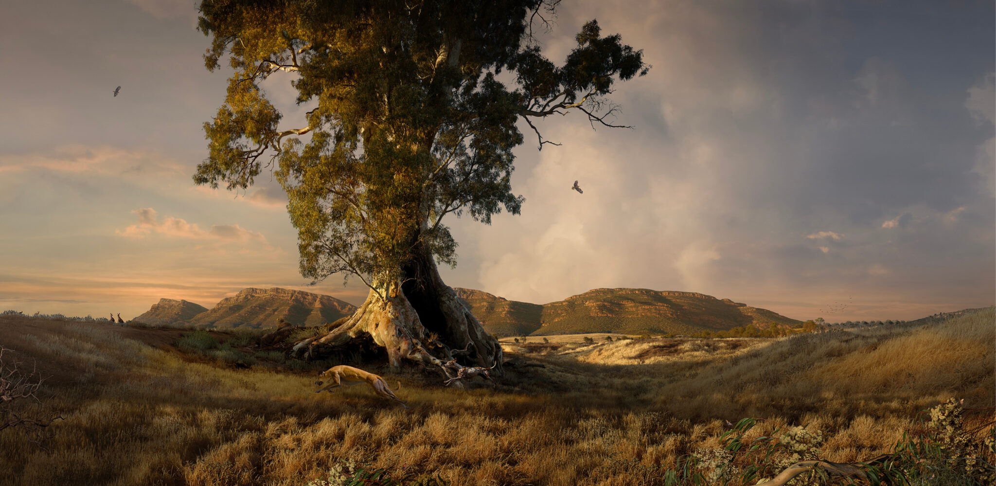 The Hunt - Michael Reid