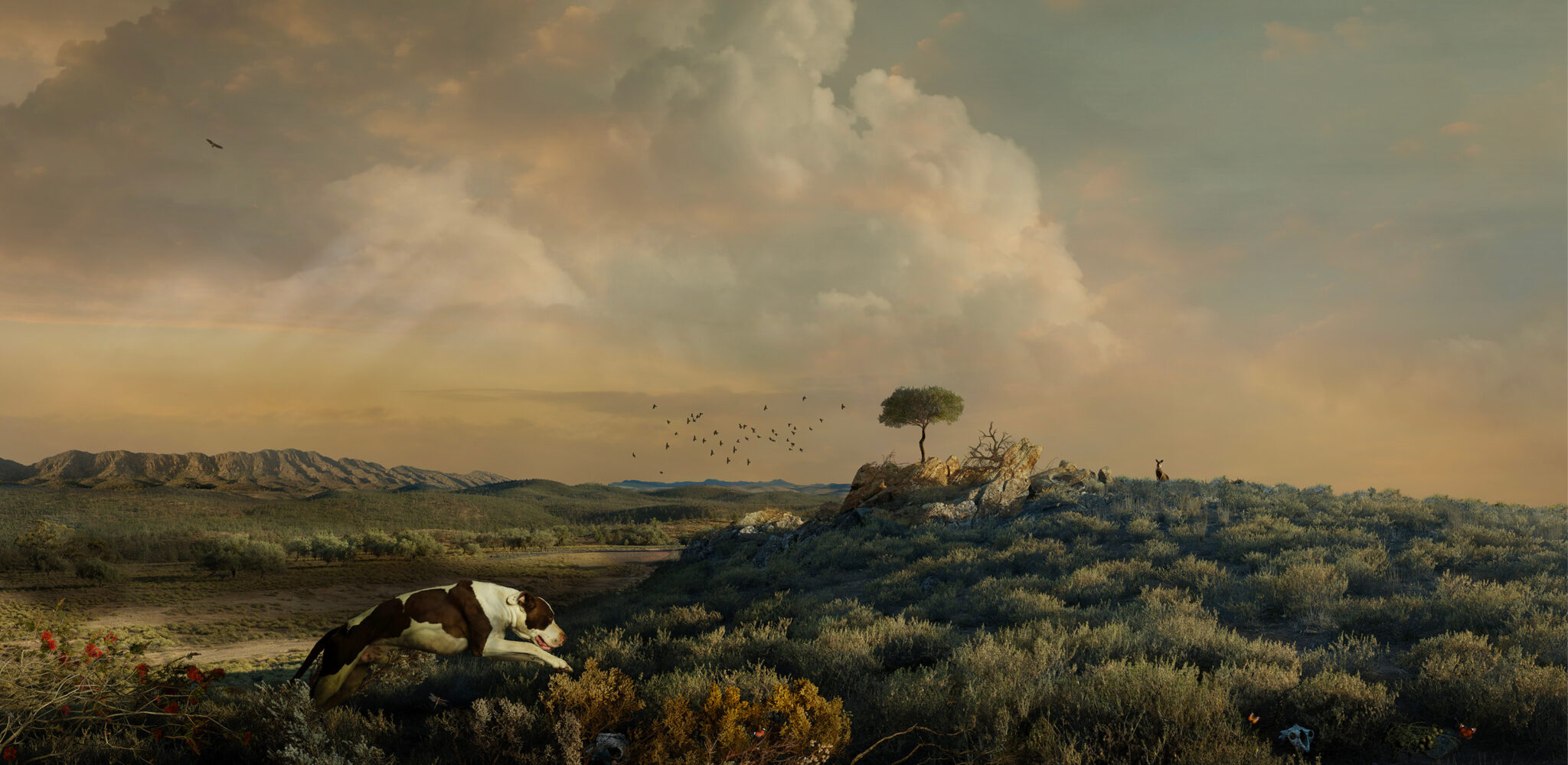 The Hunt - Michael Reid