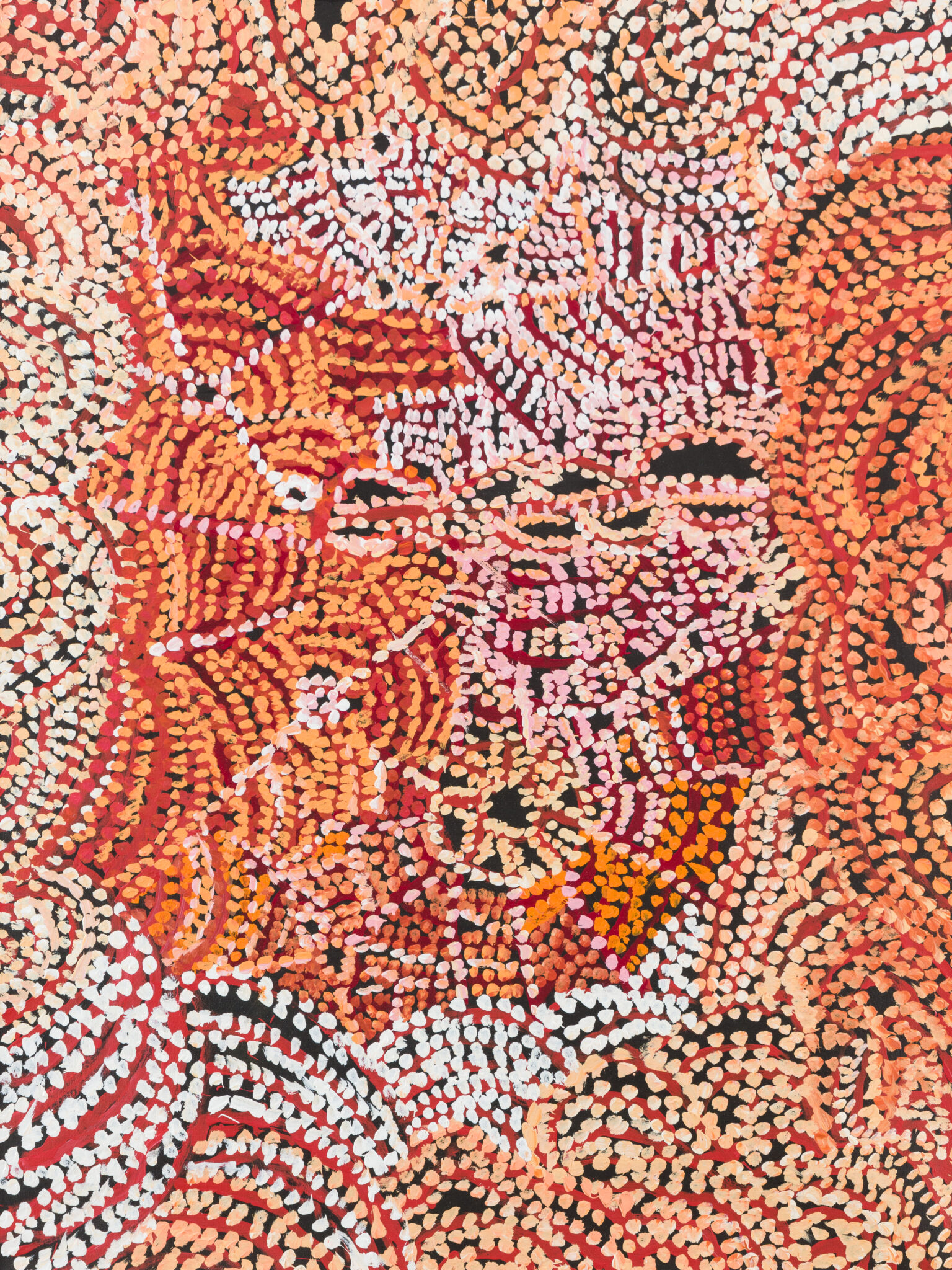 Stockroom - Michael Reid Southern Highlands